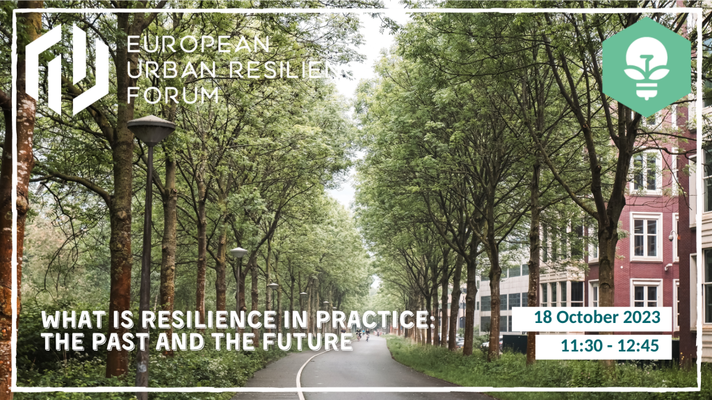 What is resilience in practice: the past and the future - Climaax